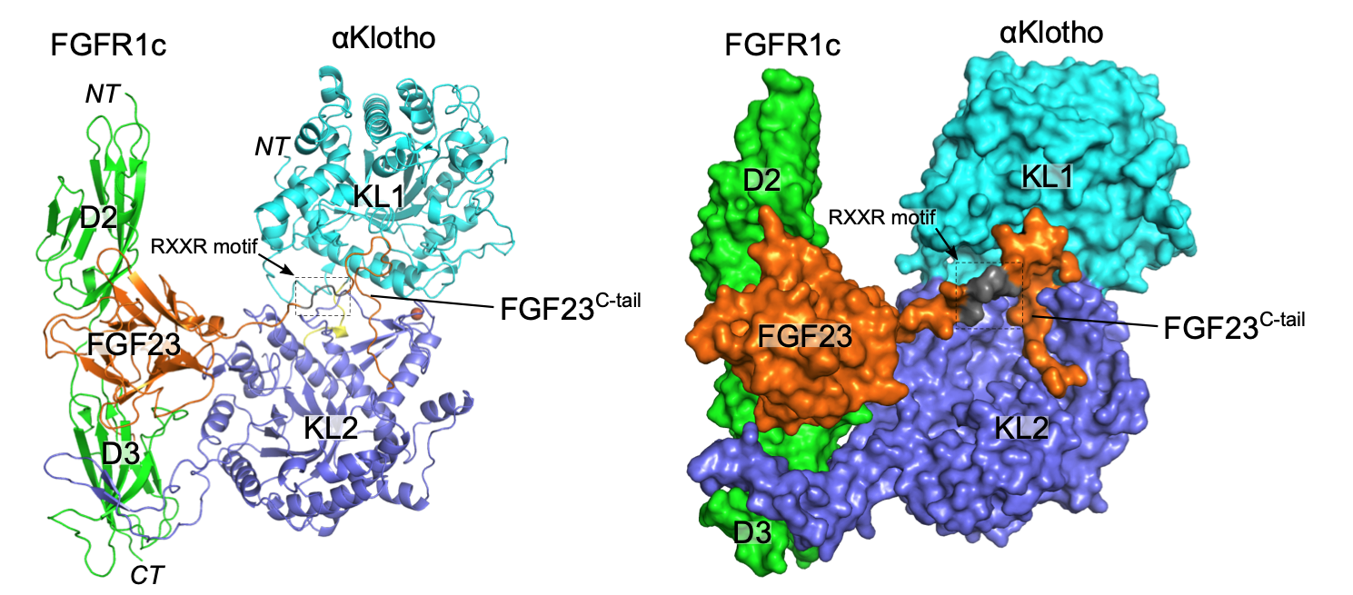 Blog at WordPress.com.